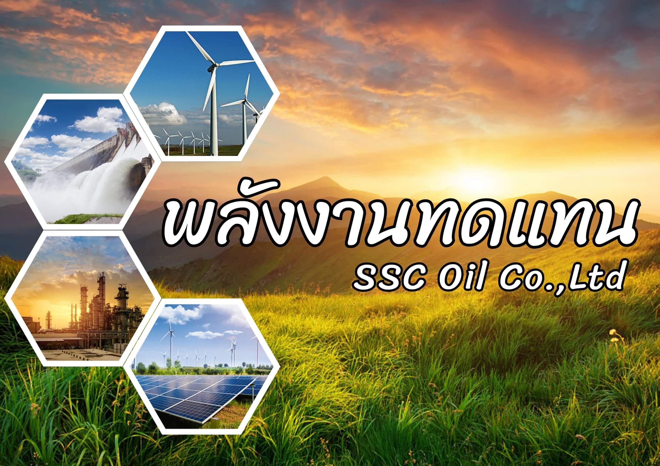 พลังงานทดแทน (Renewable Energy)คืออะไร? ทำไมถึงสำคัญ - SSC Oil Co., Ltd.